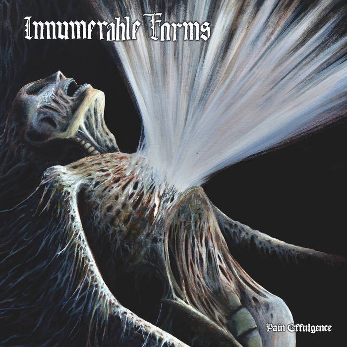 Innumerable Forms - Pain Effulgence CD – Eroding Winds