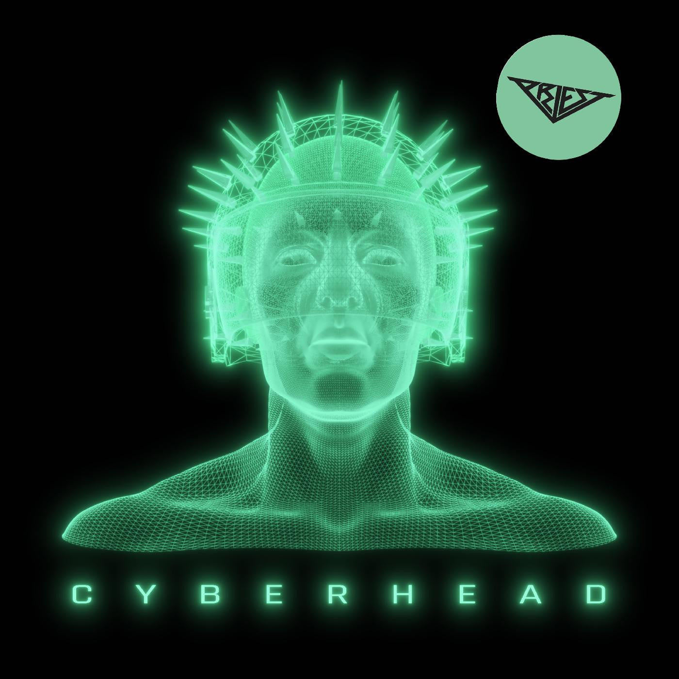 Priest - Cyberhead LP – Eroding Winds